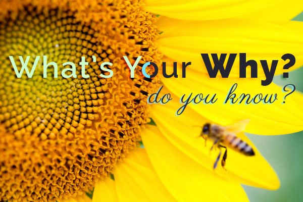 What’s Your ‘Why?’ Do You Know? Questions to Find Your Purpose - HubPages