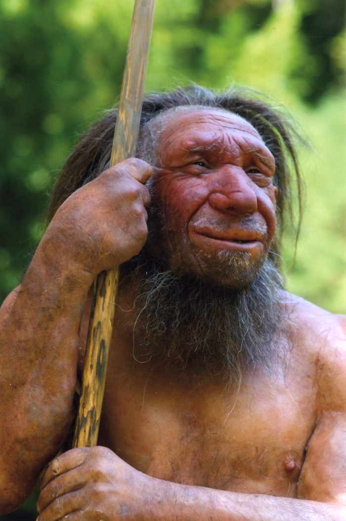 What Happened to the Neanderthals? - HubPages