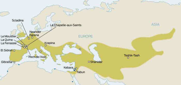 What Happened to the Neanderthals? - HubPages