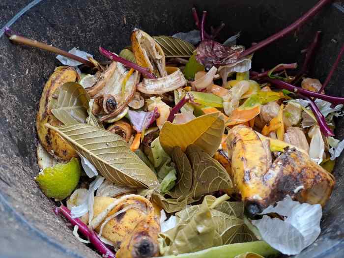 How to Make Organic Fertilizers Using Your Kitchen Wastes: 7 Simple ...