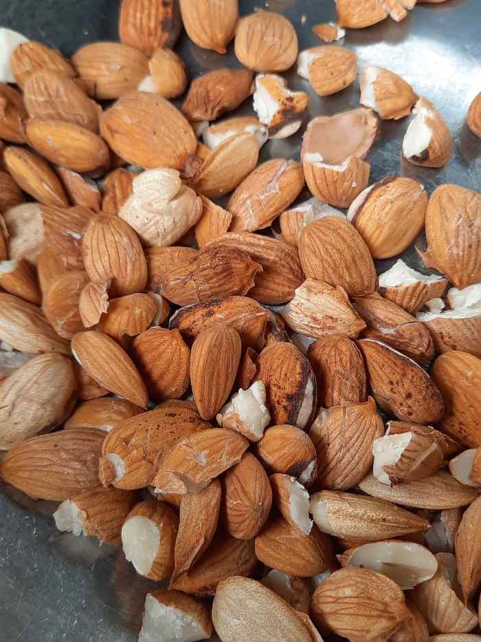 How to Harvest Almonds in Pennsylvania - HubPages