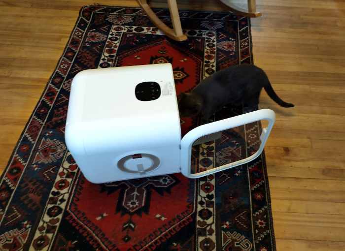 Review of the Homerunpet Drybo Plus Automatic Pet Dryer - HubPages