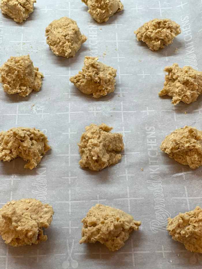 Perfectly Light and Chewy Oatmeal Cookies - HubPages