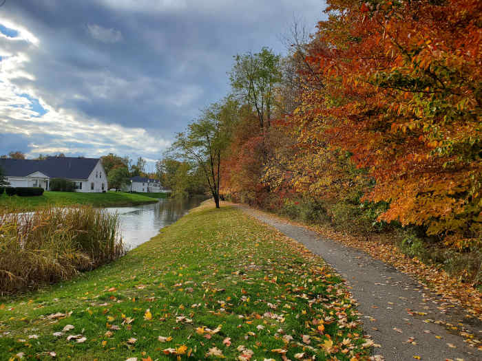 The Crowded Path - LetterPile