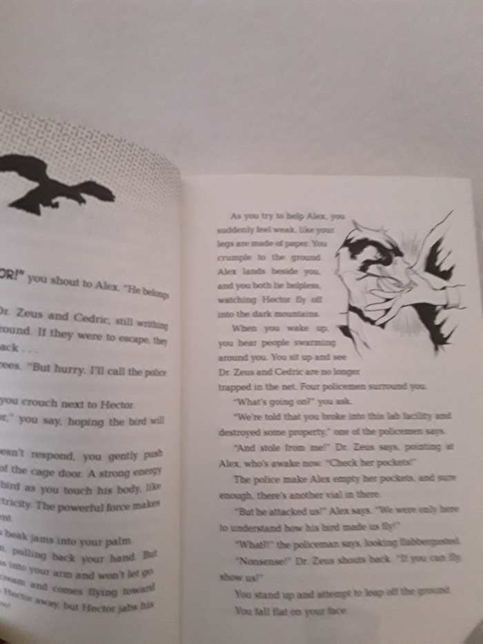 Hero or Villain Interactive Graphic Chapter Book for Readers to Choose ...