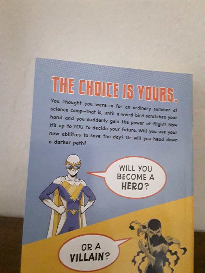 Hero or Villain Interactive Graphic Chapter Book for Readers to Choose ...