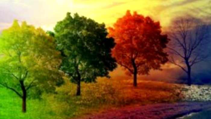 Seasons of Life Shape and Reshape, They Teach and, Oftentimes, They ...