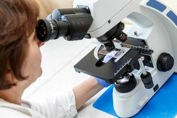 The Invention of the Microscope - HubPages