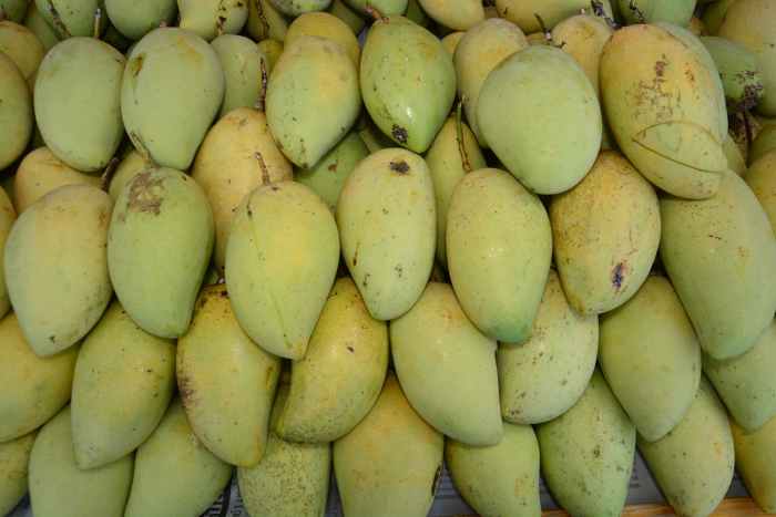 The city of Mangos: Rajshahi, Bangladesh - HubPages