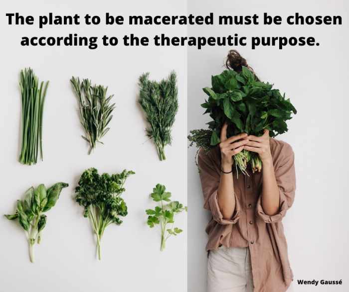 How to Make Macerated Oils - HubPages