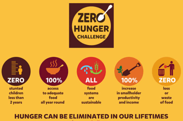 Global Efforts to Zero Hunger - HubPages