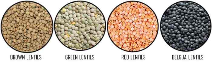 Vegan Lentil Soup - HubPages