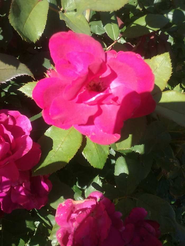 The Last Days of Left Eye Film Review - HubPages