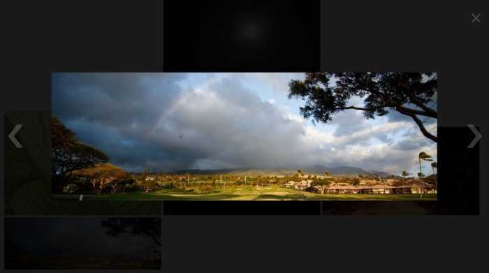 6 Best React Image Viewers to Check Out: The Ultimate List - HubPages