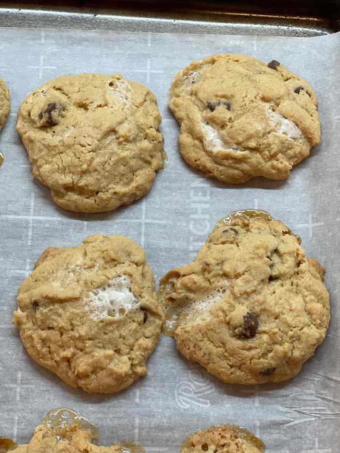 Ooey Gooey S'mores Cookies - HubPages