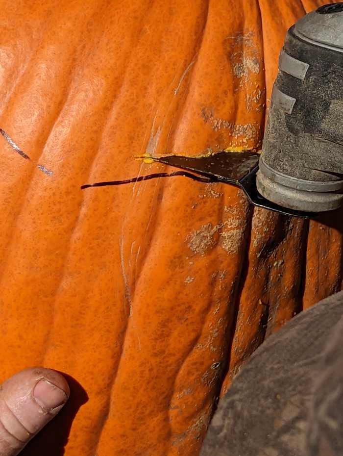 Pumpkin Carving - Making an Eye Looking Out - HubPages