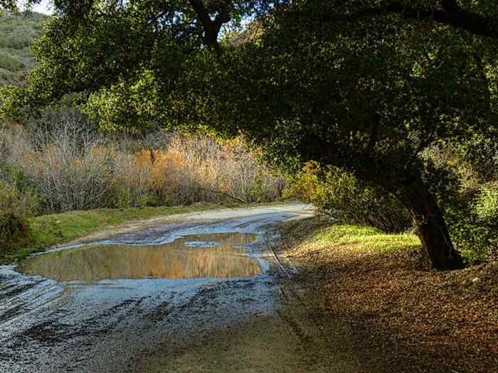 Into Each Life a Little Rain Must Fall - HubPages