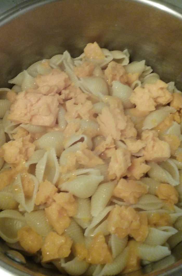 Super Easy and Super Cheesy Pasta Shells Recipe - HubPages