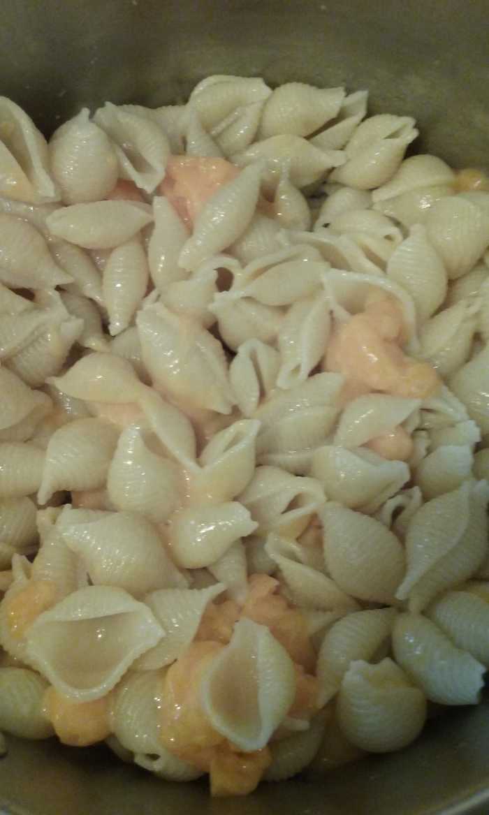 Super Easy and Super Cheesy Pasta Shells Recipe - HubPages