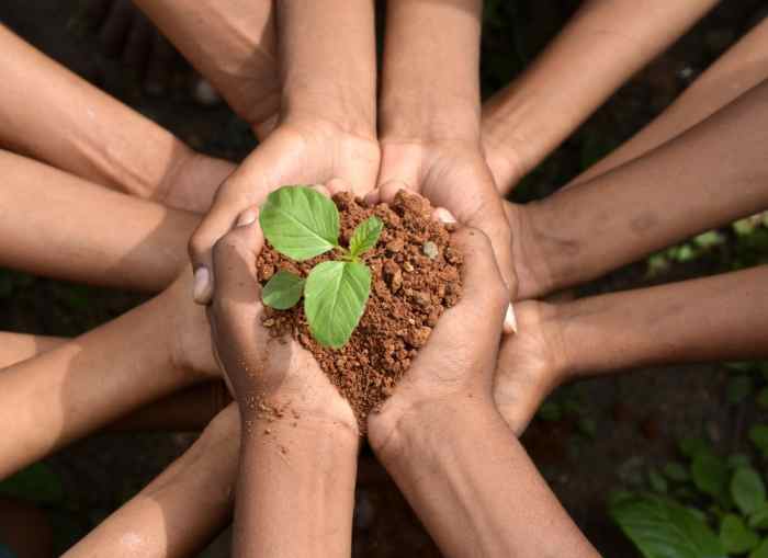 9 Powerful Ways to Not Destroy the Earth - HubPages