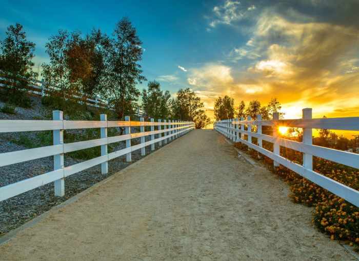 6 Ways to Make Your Boring Walking Routine More Fun, Creative, and ...