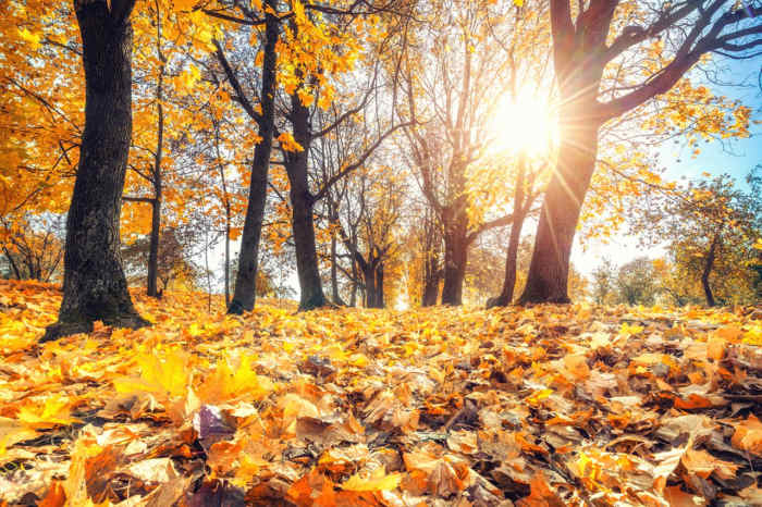 Best Things About Autumn - HubPages