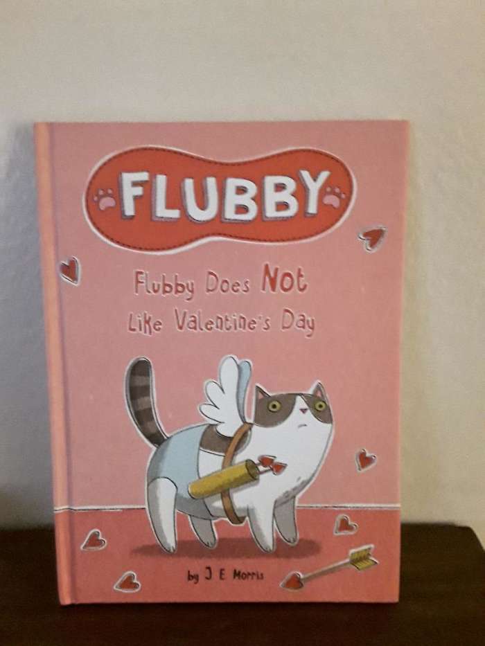 Pets and Valentine's Day Celebrate With Flubby the Cat in Adorable ...