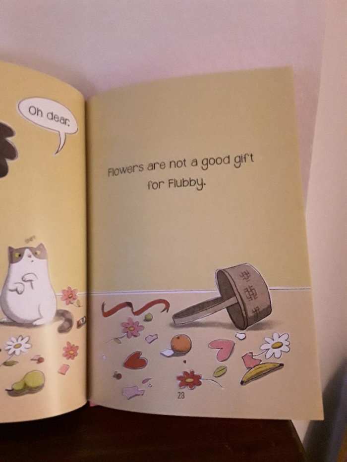 Pets and Valentine's Day Celebrate With Flubby the Cat in Adorable ...