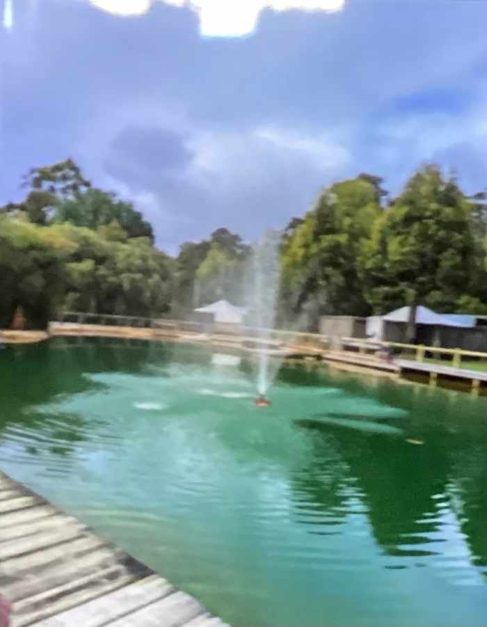 Reduce Toxic Waste From Our Planet - HubPages