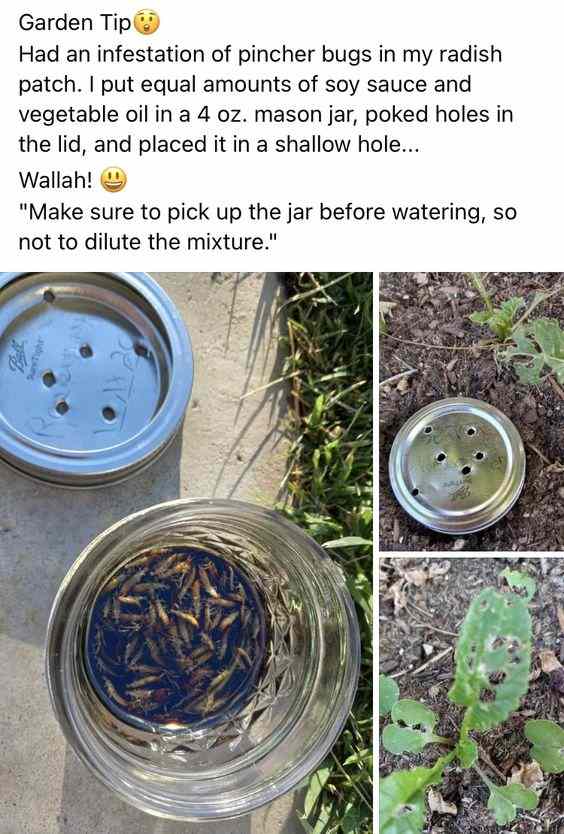 55+ Awesome Small Garden Ideas to Transform Your Space - HubPages