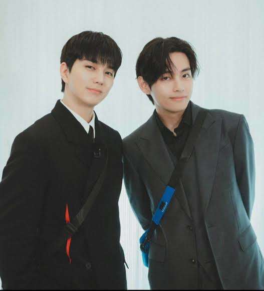 BTS V’s 2023 TV Show Guest Appearances - HubPages