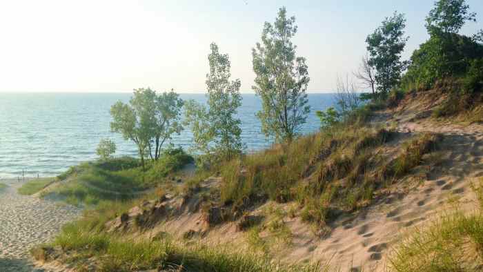 Top 10 Indiana State Parks for Hiking and Camping - WanderWisdom