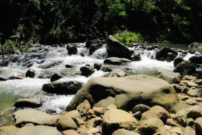 Travel Guide - Best Activities You Should Do in Bacolod, Negros ...