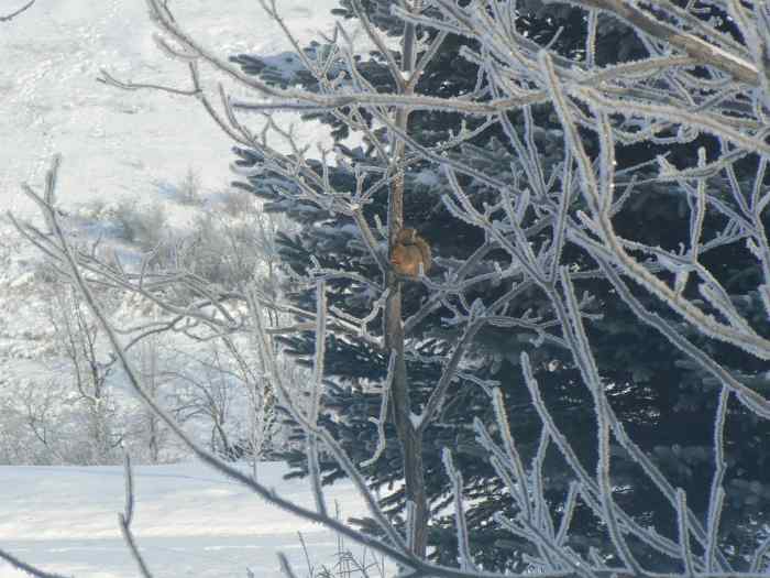 Change Your Emotions With Visualization - HubPages