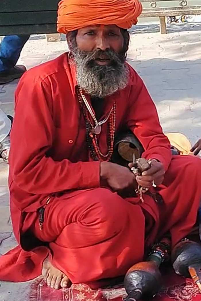 Snake Charmers : in life, history and temple decoration - HubPages