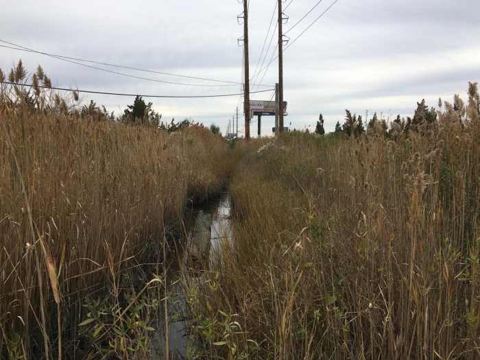 Eastbound Strangler: Four Women Found Dead in an Atlantic City Ditch ...