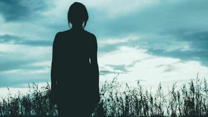 What Are Shadow People? Descriptions, History & Real Stories - HubPages