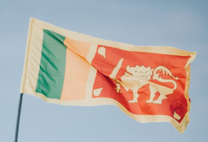 Lion Flags Around the World - HubPages