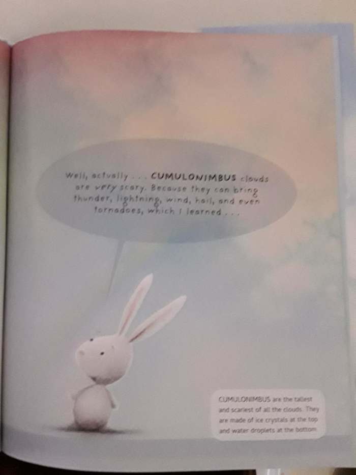 Cloud Watching With Bunnies in Beautifully Illustrated Picture Book ...