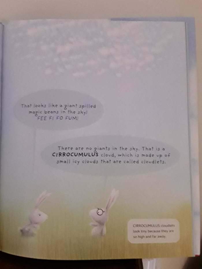 Cloud Watching With Bunnies in Beautifully Illustrated Picture Book ...