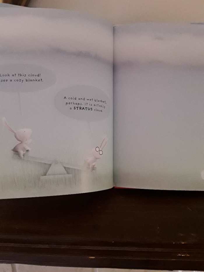 Cloud Watching With Bunnies in Beautifully Illustrated Picture Book ...