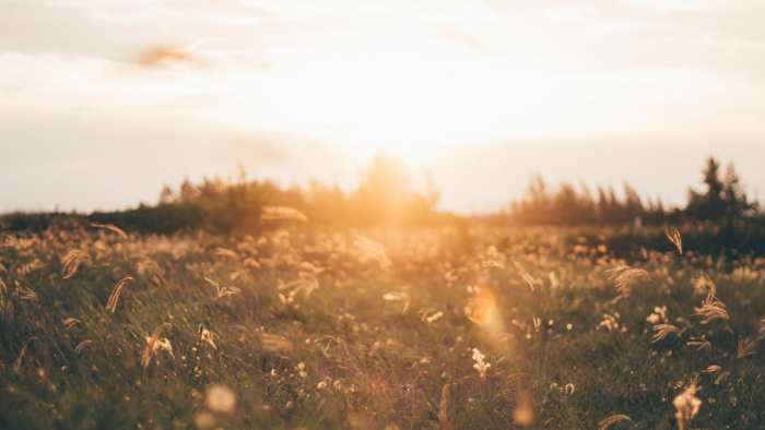 Inspiring Haiku out Loud - LetterPile