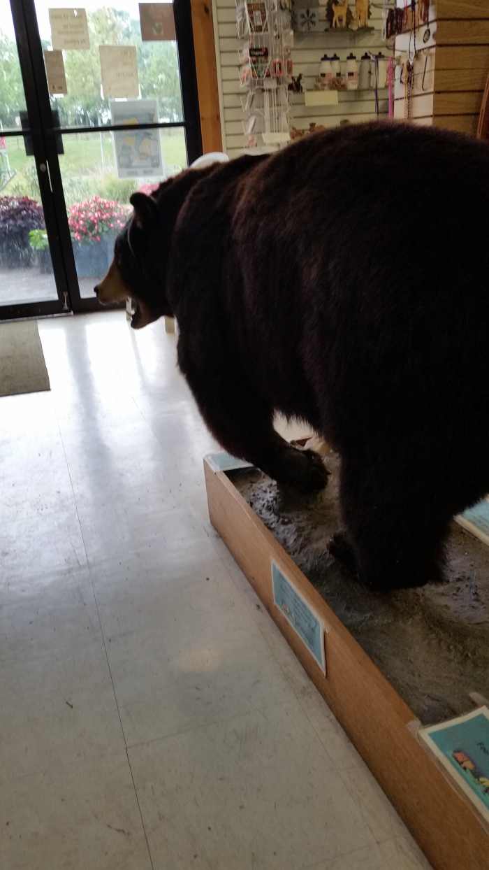 My RV Park Reviews - HubPages