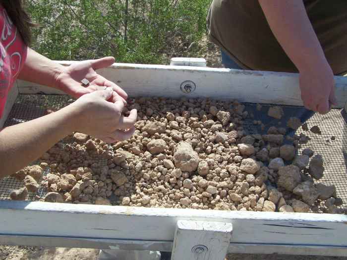 How to Become an Archaeologist - HubPages