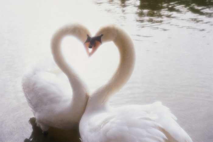 The Perfect Path to Perfect Love - HubPages