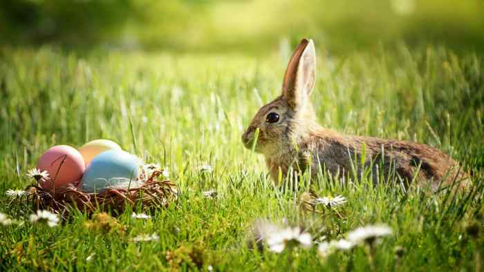 The History and Symbolism of Easter - HubPages