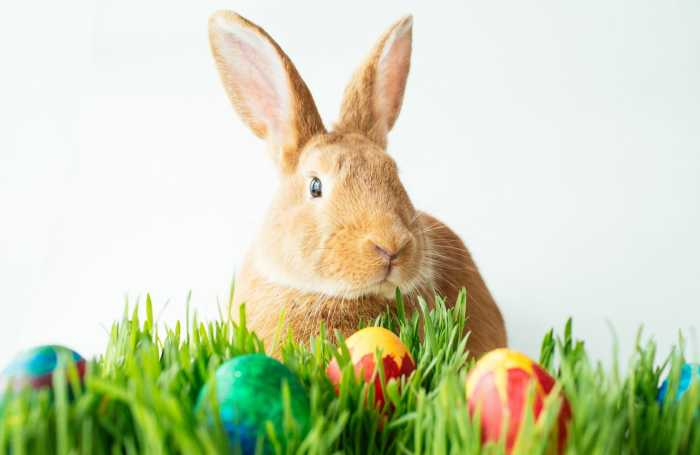 The History and Symbolism of Easter - HubPages