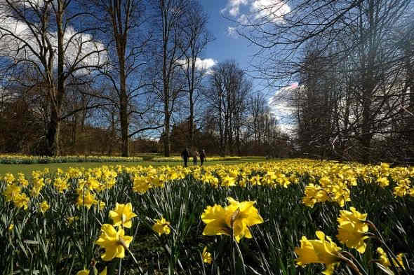 Celebrating British Easter Traditions - HubPages