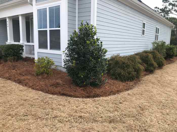 A Step-by-Step Guide to Installing Pine Straw In Garden Beds - HubPages