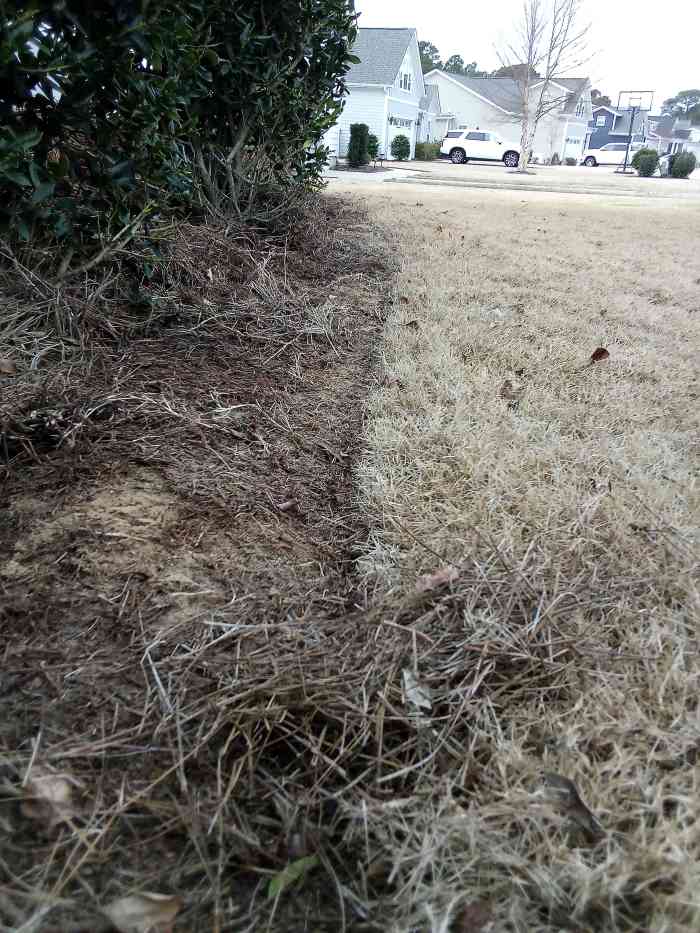 A Step-by-Step Guide to Installing Pine Straw In Garden Beds - HubPages